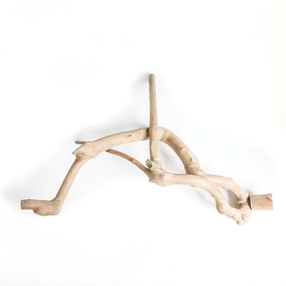 Java | Java Wood Trees, Parrot Stands, Perches And Toys