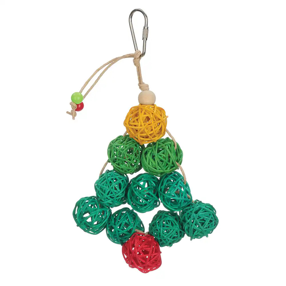 Latest Parrot Products | Food, Toys & Accessories