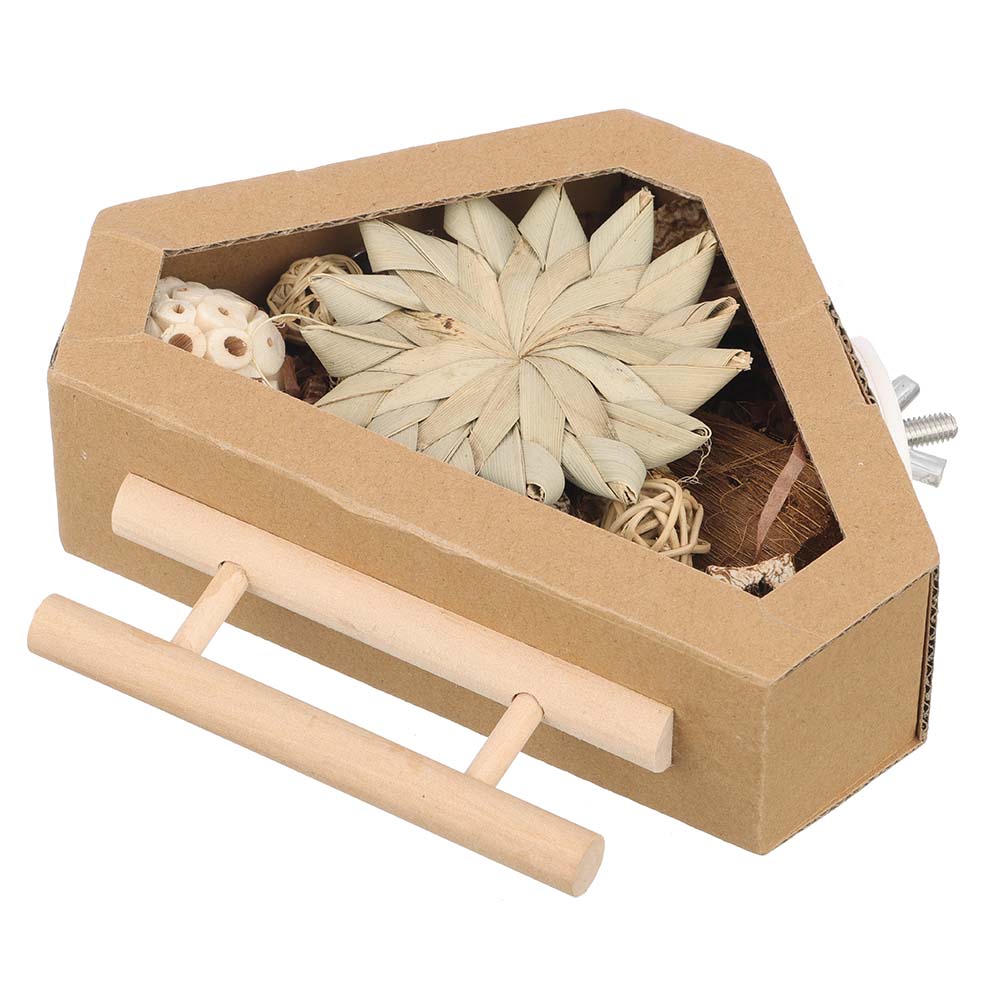 Budgie Toys | Northern Parrot