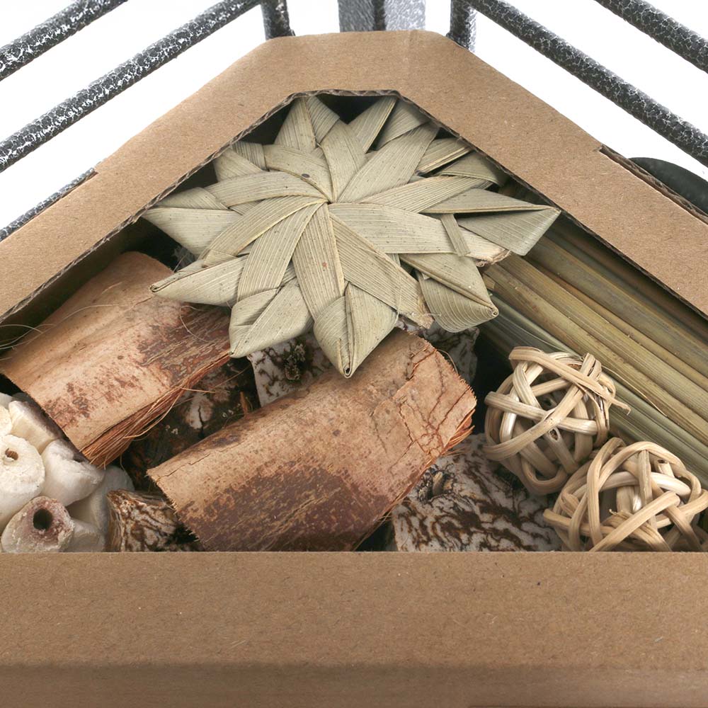 Budgie Toys | Northern Parrot