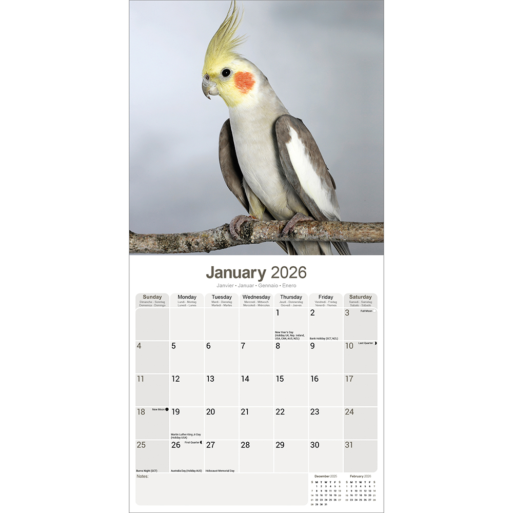 Parrot Calendars | 16 Month Calendars Featuring Parrots