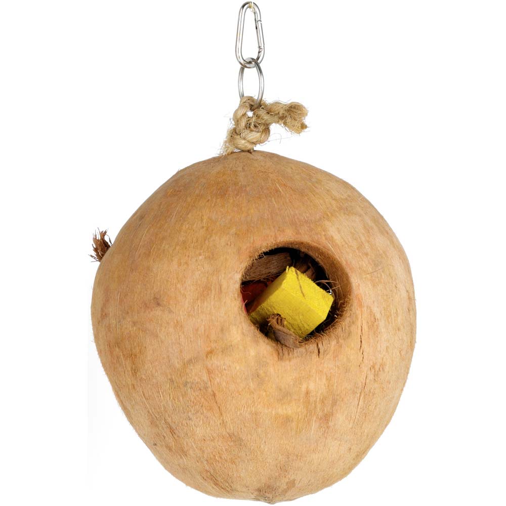 Java | Java Wood Trees, Parrot Stands, Perches And Toys