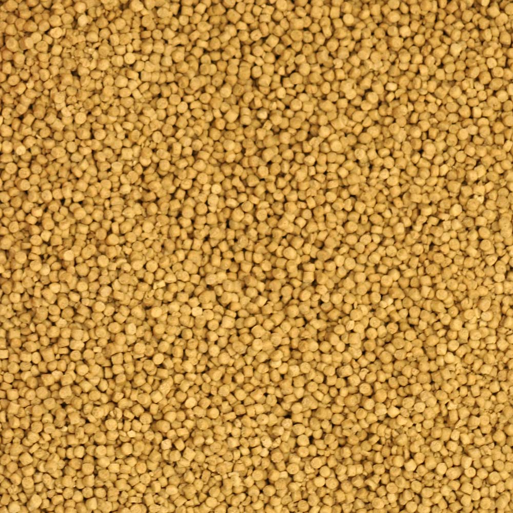 Budgie Food | Complete Food for Budgies