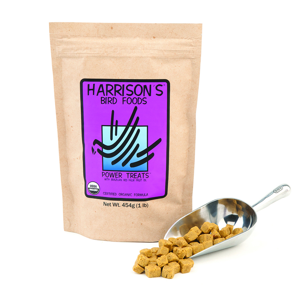 Harrison's Parrot Food | Healthy Treats And Food For Parrots