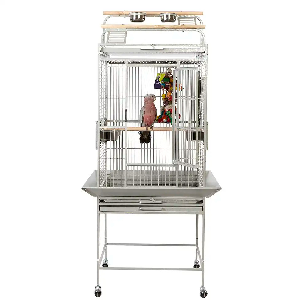 Conure Cages | Play, Open, Solid And Travel Cages
