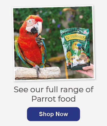 Parrot Food | Products Reviewed and How To Feed Them - Northern Parrots