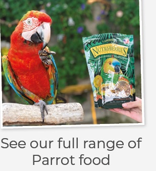 Parrot Food | Products Reviewed and How To Feed Them - Northern Parrots