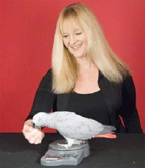 Scale Training Your Parrot By Barbara Heidenreich - Northern Parrots