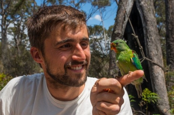 Does My Parrot Need A Companion? - Northern Parrots