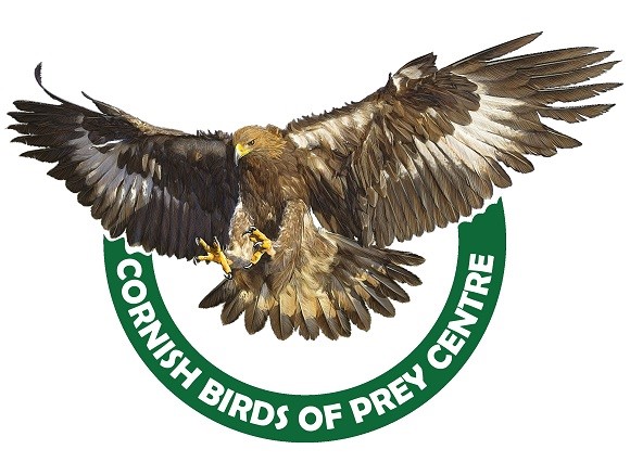 The Cornish Birds Of Prey Centre - Northern Parrots