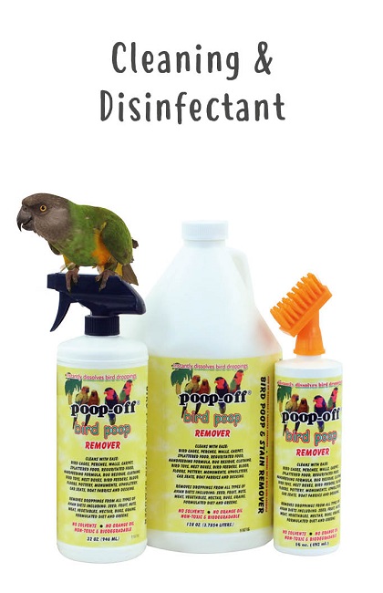 Parrot Cleaning And Disinfectant | Products Reviewed and How To Use ...