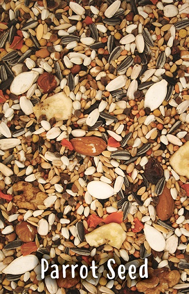 Parrot Seed | Different Seed To Feed Parrots - Northern Parrots