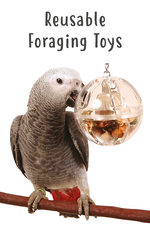 Reusable Foraging Parrot Toys | Products Reviewed and How To Use Guide ...