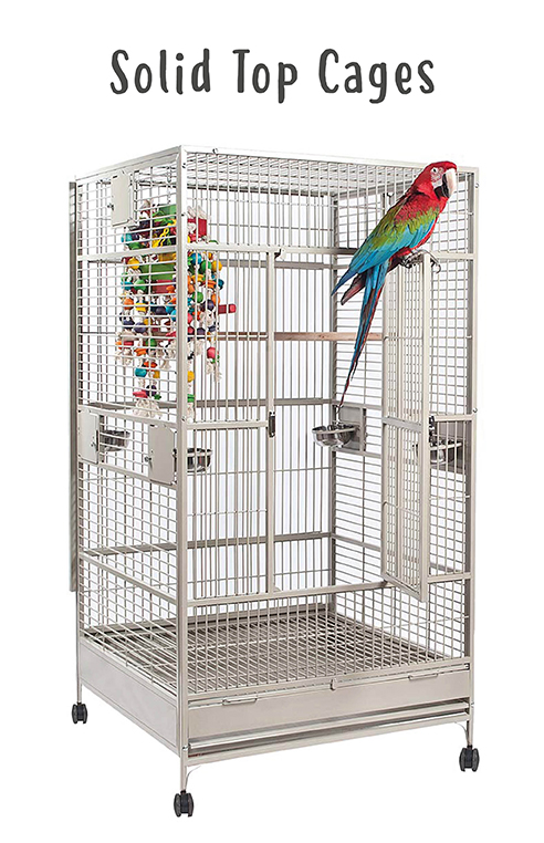 Solid Top Parrot Cages | Products Reviewed and How To Use Guide ...