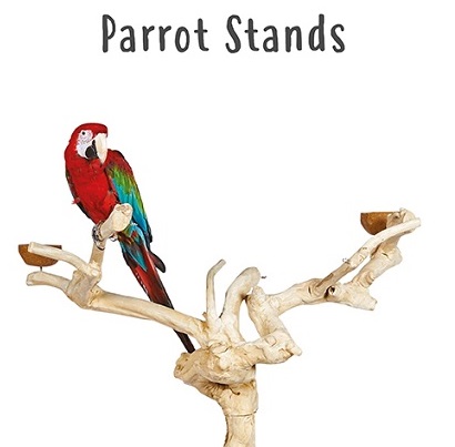 Parrot Stands | Product Review and How To Use Guide - Northern Parrots