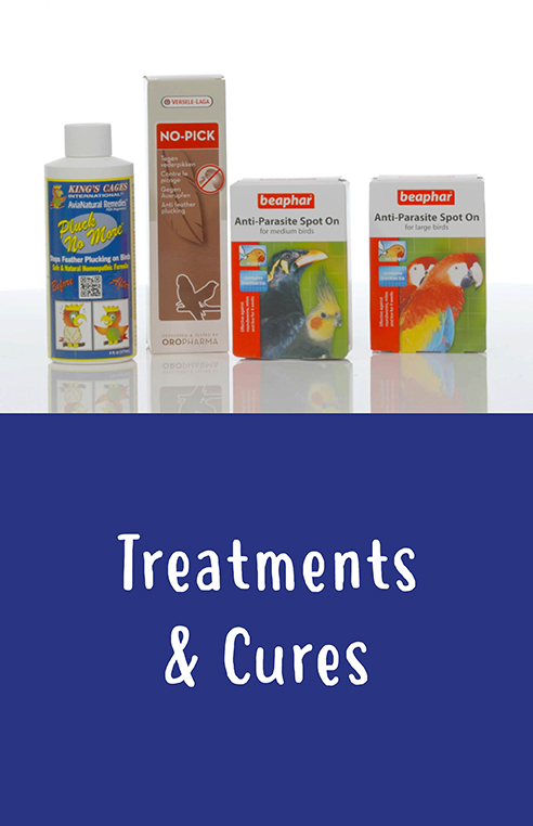 Parrot Treatments And Cures | Products Reviewed and How To Use Guide ...