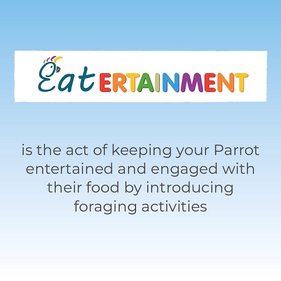 Eatertainment For Your Parrot - Northern Parrots
