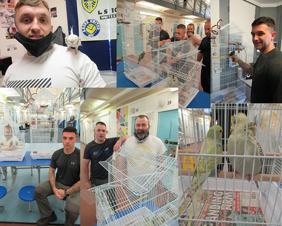 Animal Therapy - A Real Life Success Story - Northern Parrots