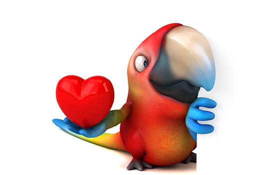 Inside The Mighty Avian Heart - Northern Parrots