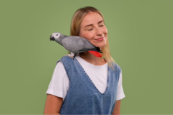 Preventing The One Person Bird - Northern Parrots