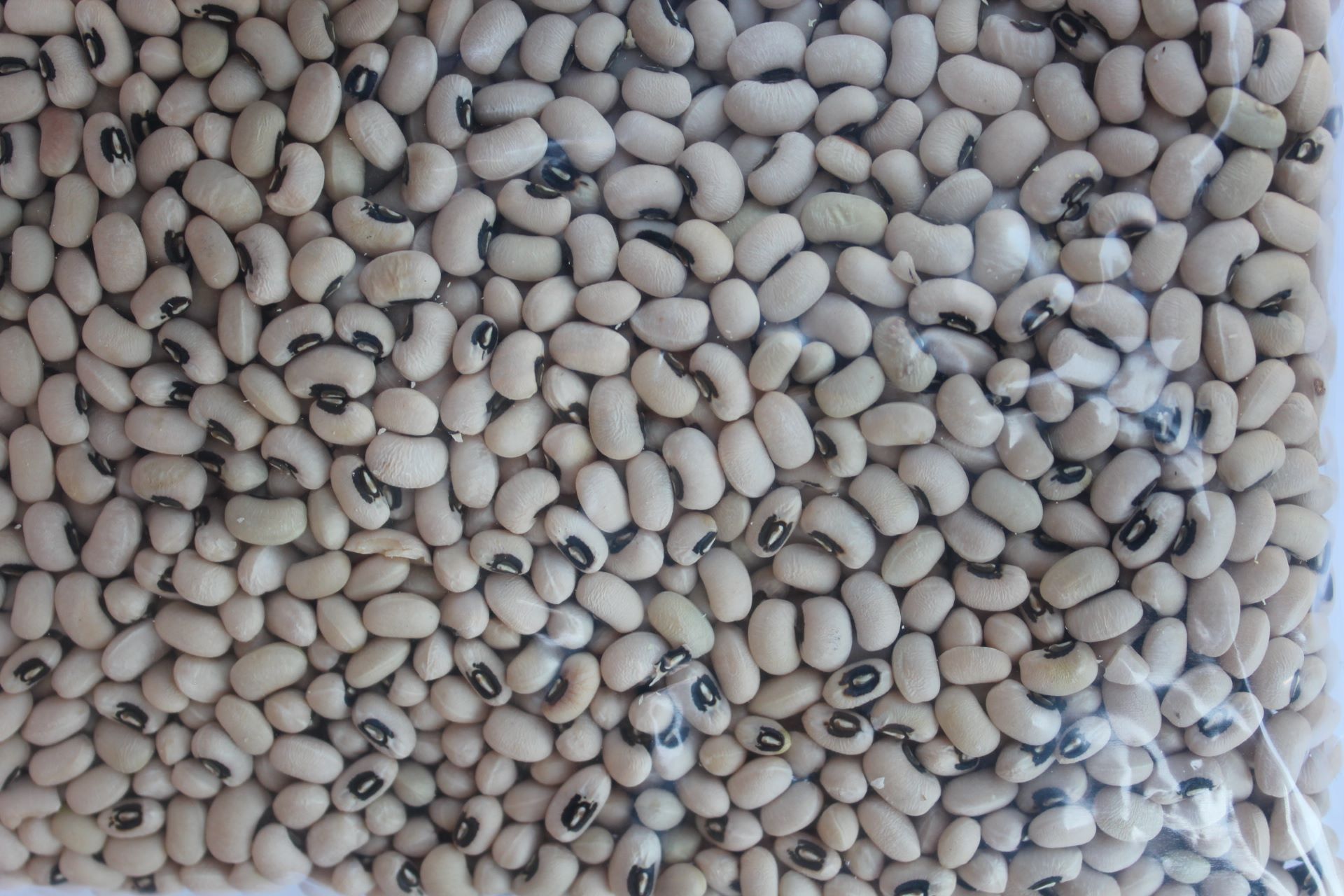 Black Eye Pea (Kaupi) 2lbs - lankandelight.com