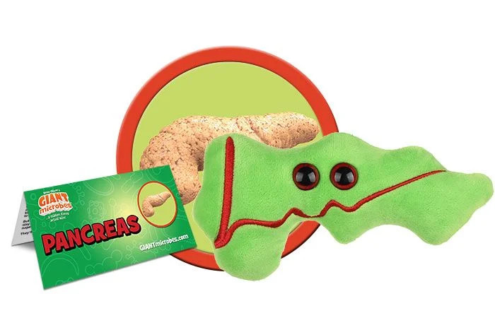 Pancreas–Giant Microbes - Board Game Barrister