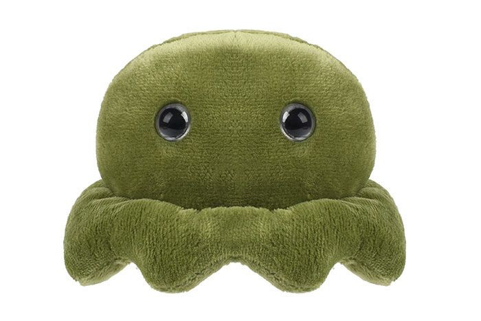 Booger–Giant Microbes (Sold Out - Restock Notification Only) - Board ...