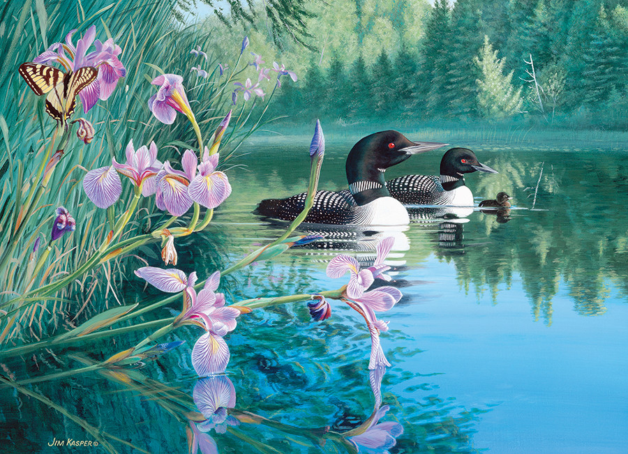 Iris Cove Loons 500pc (Sold Out - Restock Notification Only) - Board ...
