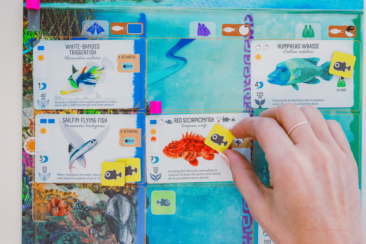 Finspan - Board Game Barrister