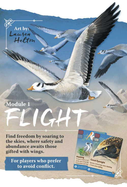 Nature: Flight Module - Board Game Barrister
