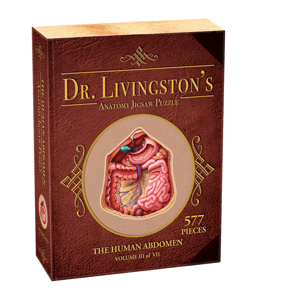 Human Abdomen–Dr Livingston's Anatomy Jigsaw Puzzle 577pc - Board Game ...