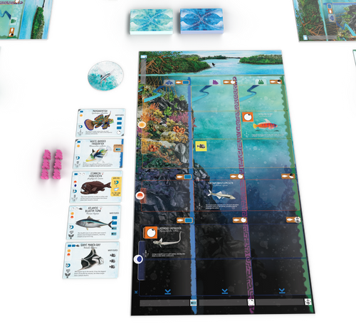 Finspan - Board Game Barrister