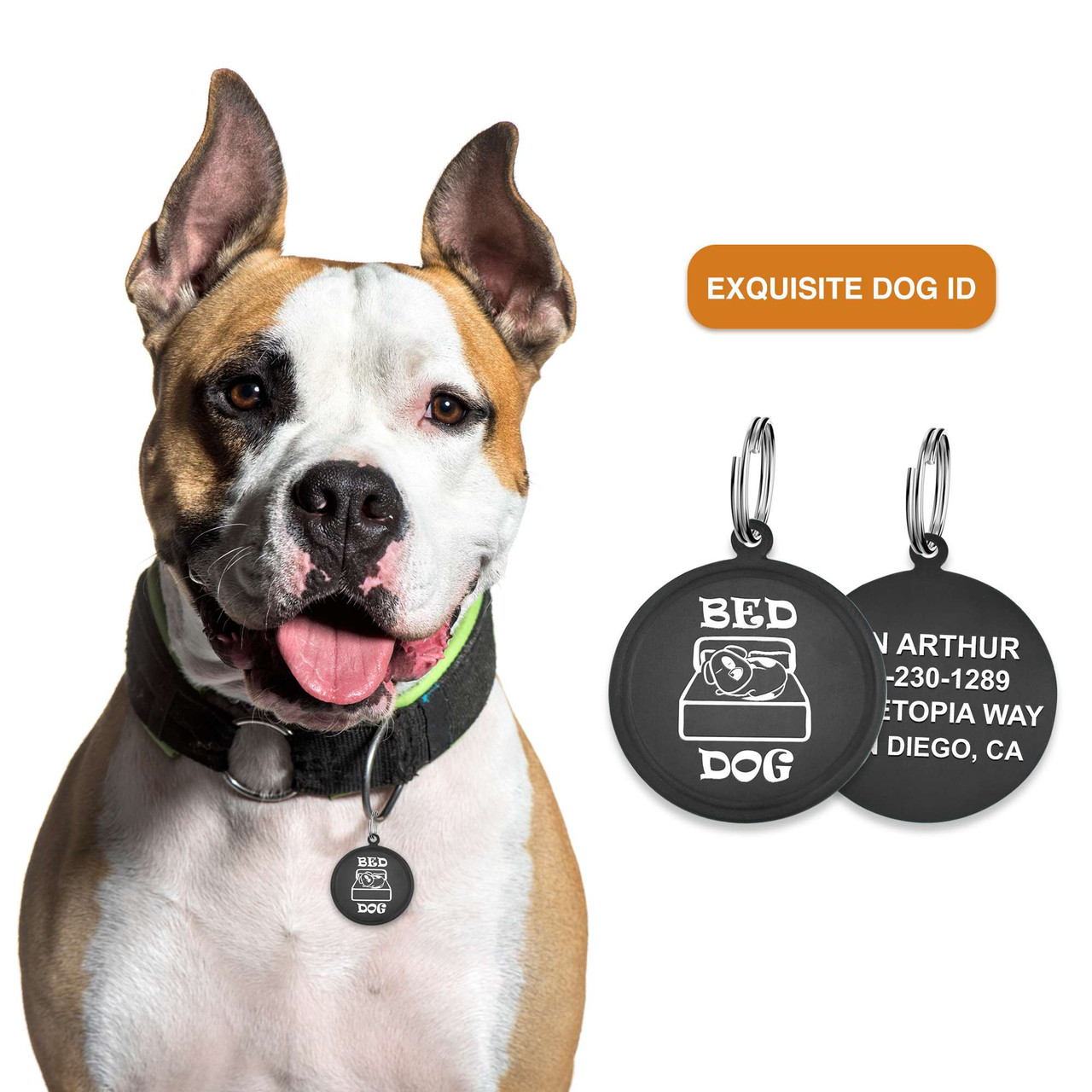 1 OR 1.25-Inch Personalized Pet Tags w/Split Ring