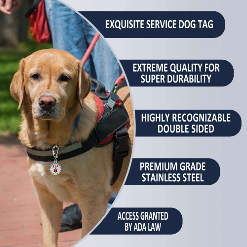 Service Dog Tag - Dual-sided Medical Alert Emotional Spporrt Animal ...