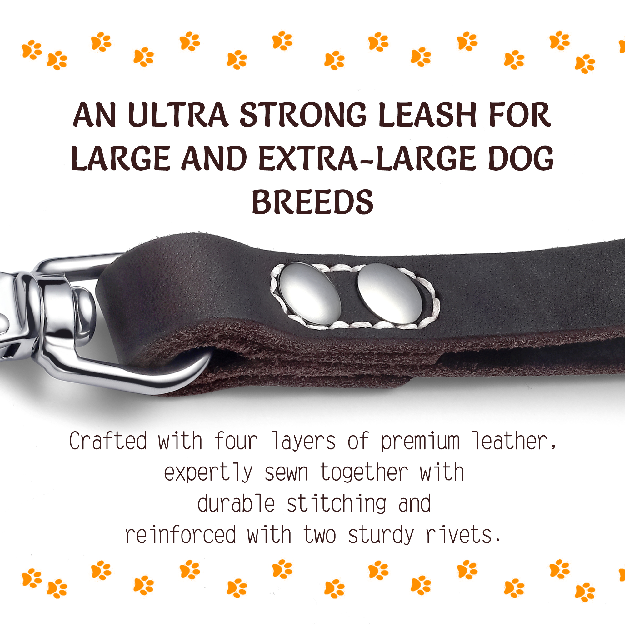 Dog Leash - 1