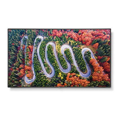 NEC V654Q-AVT3 MultiSync 65" Class 4K UHD Commercial LED Display with ...