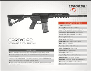 Caracal CAR816 A2 16" Rifle On Sale - Best Price | BOTACH