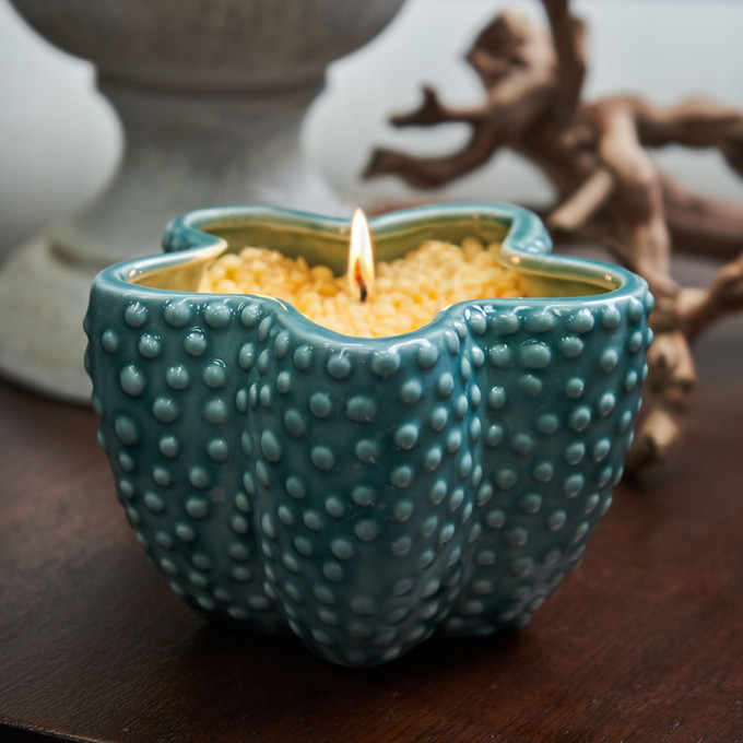 Starfish Glimmer Candle - Pink Zebra Home