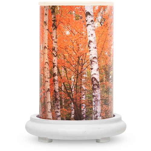 Autumn Forest Simmering Light with Antique White Base - Pink Zebra Home