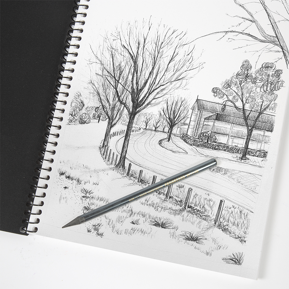 Koh-I-Noor Progresso Graphite, Pack 12 | Micador