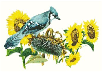 Blue Jay with Sunflowers - PinoyStitch