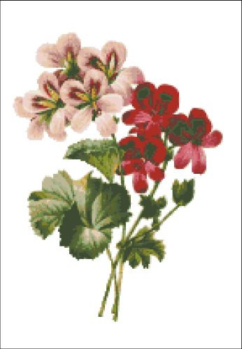 Geraniums Cross Stitch Pattern - PinoyStitch