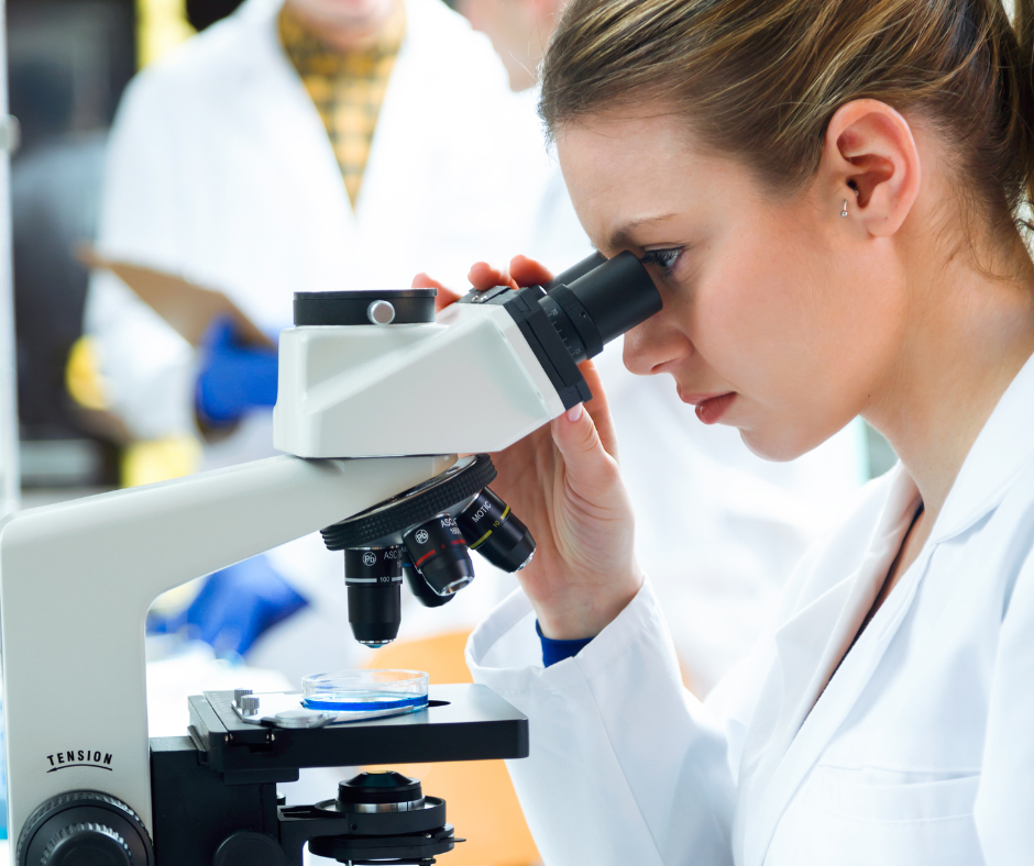 Hematology's Visual Symphony: The Role of Staining - ENG Scientific