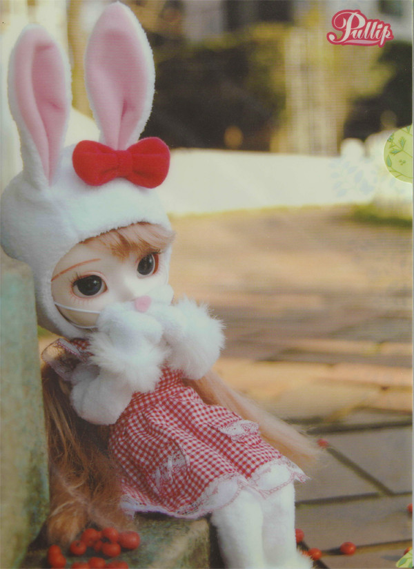 Pullip leprotto photo A4-sized Paper Document plastic file folder (F-206)