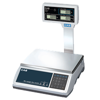 CAS ER Plus Scale 30 Kg with Pole Display