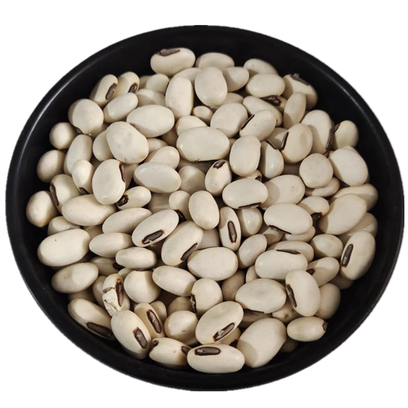 Bai Dao Dou White Sword Beans - Herb Land