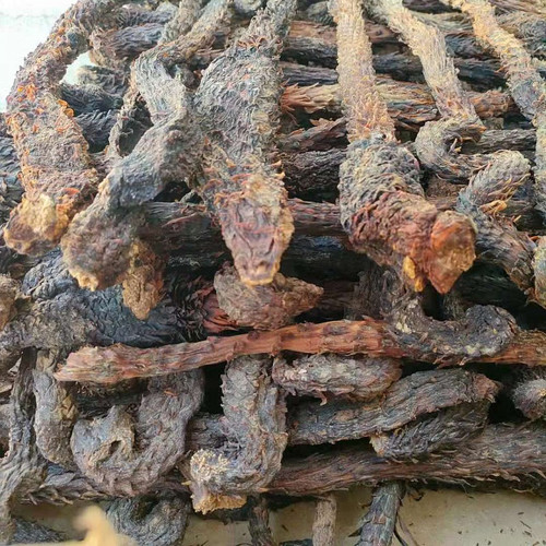 You Xing Zheng Gen Rou Cong Rong Oily Whole Herba Cistanche - Herb Land