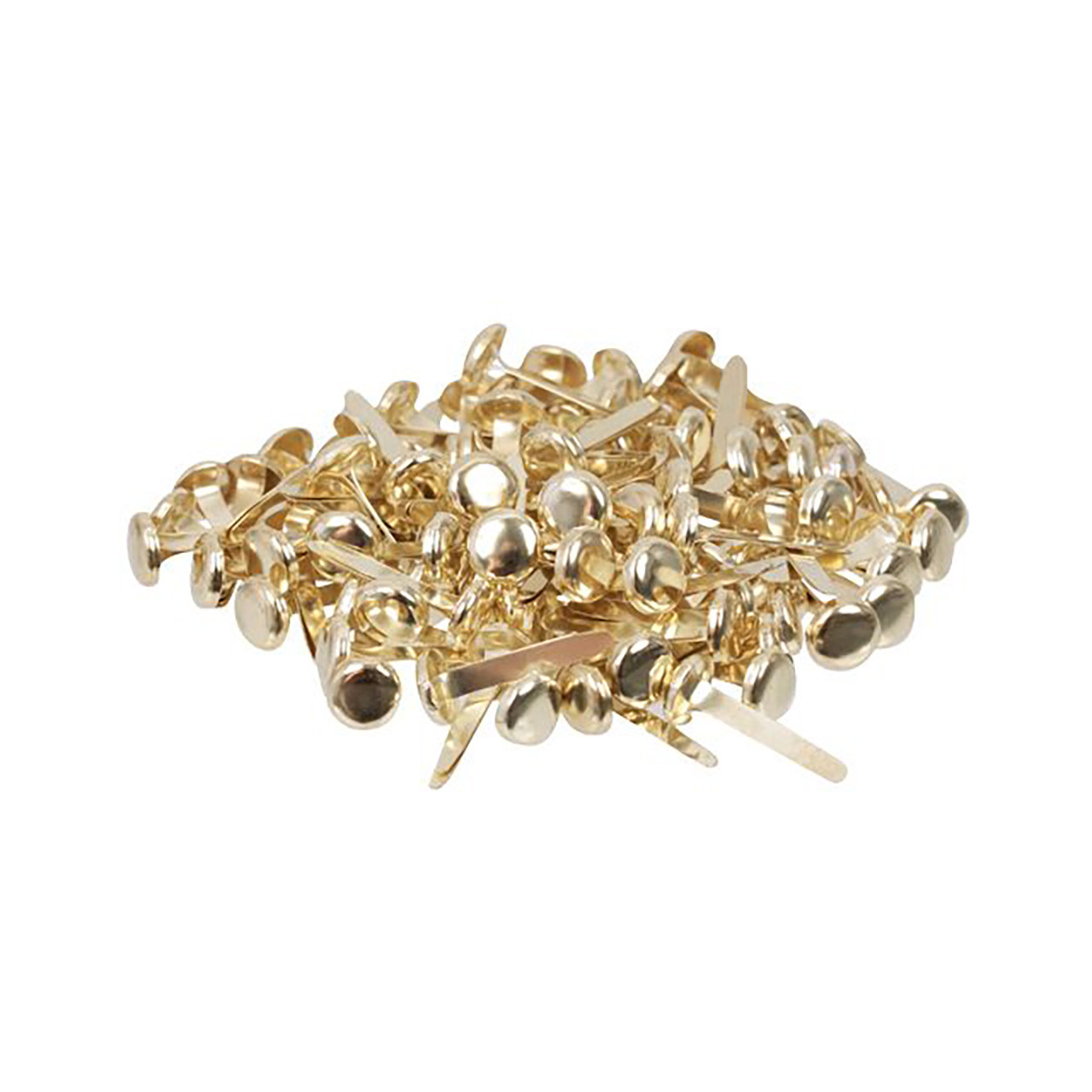 Paper Fasteners 19mm 100's | Creative School Supply | It's A Mega Thing