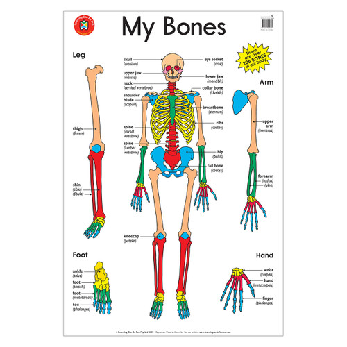 My Bones Poster | Mega Office Supplies