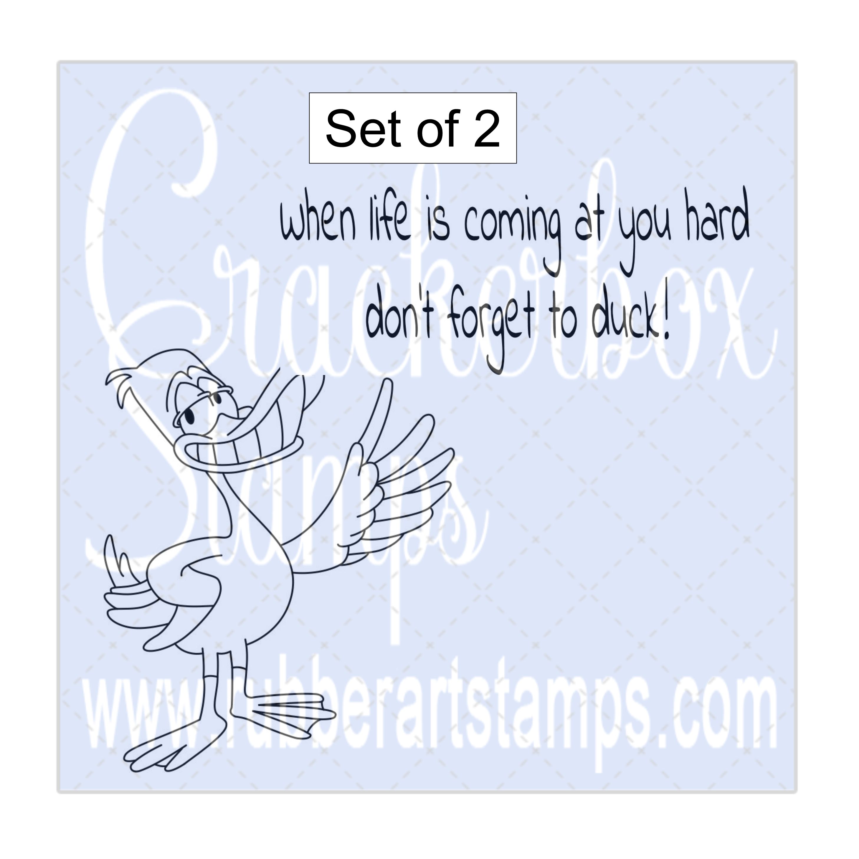 Life Coming At You & Duck Grin - Crackerbox Stamps